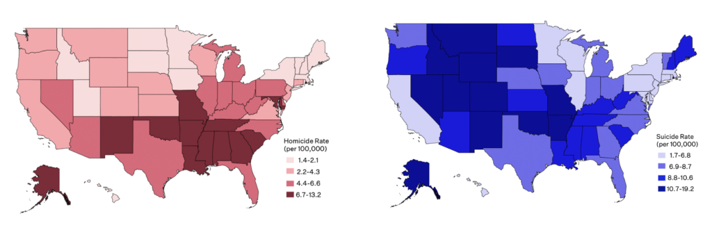 Epidemiology - BulletPoints Project